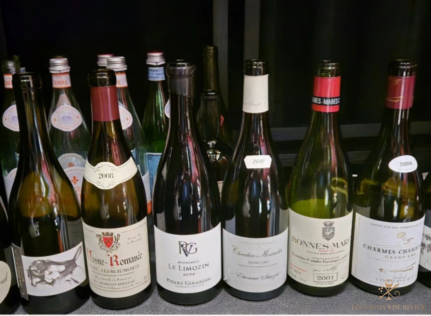 The Many Faces of Chardonnay and Pinot Noir: A Short Burgundy Journey ...