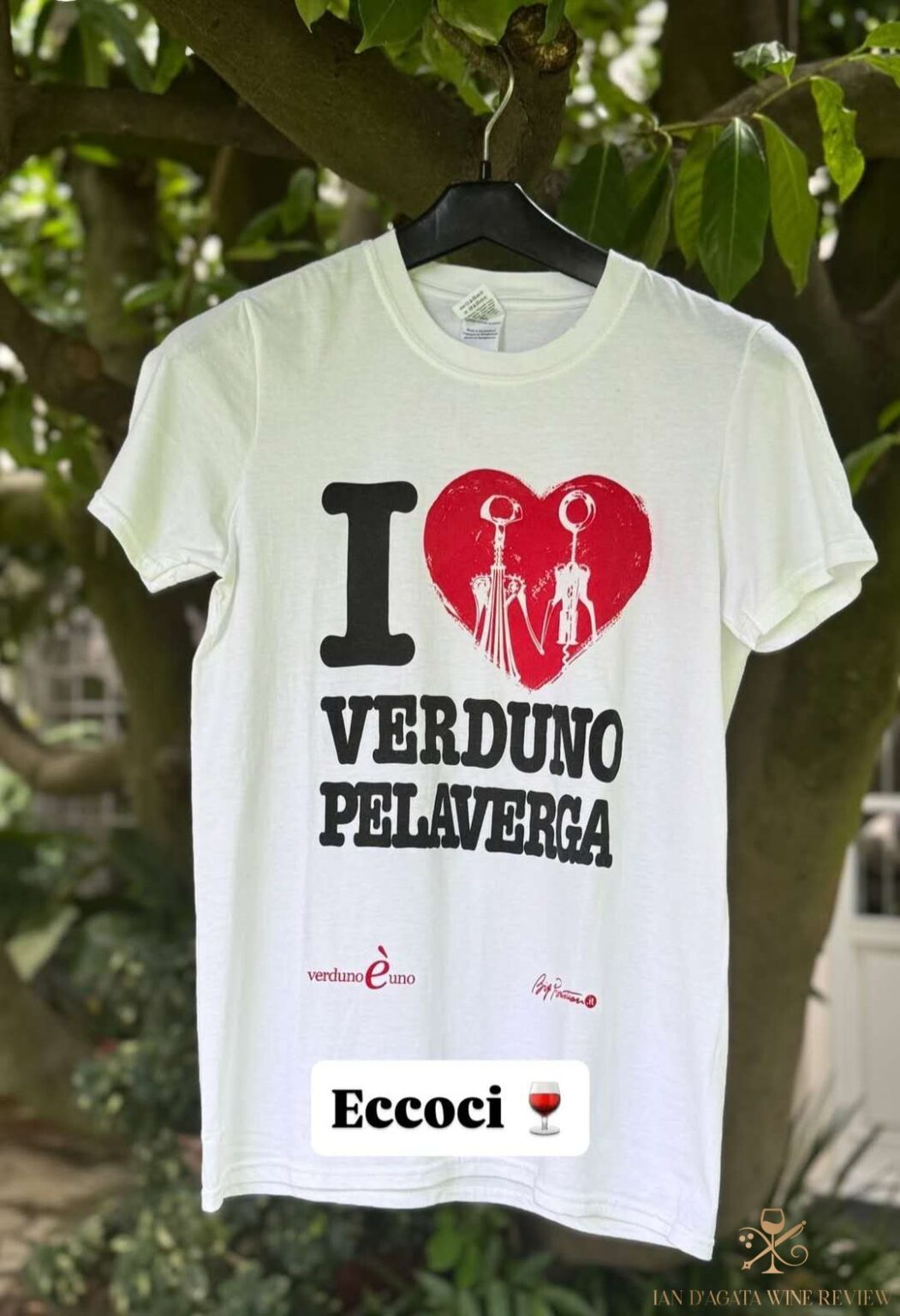 Verduno Pelaverga, the New Releases of the Excellent 2024 Vintage ...